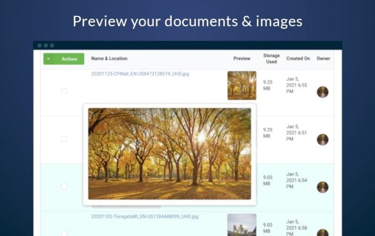Filerev: The Best App to Clean Up Google Drive