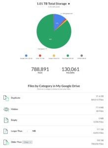 Powerful Tool to See Your Google Drive Folder Size | Filerev