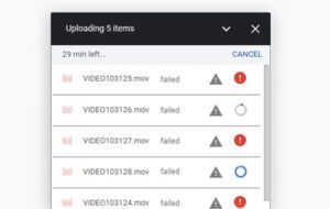 FAQ: Which File Types Are Supported on Google Drive?
