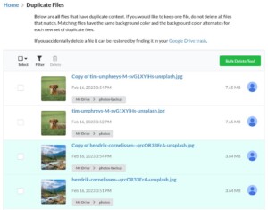 View and Delete Your Duplicate Files - Filerev for Google Drive