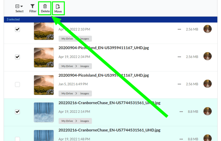 Delete, Move and Bulk Delete Files | Filerev