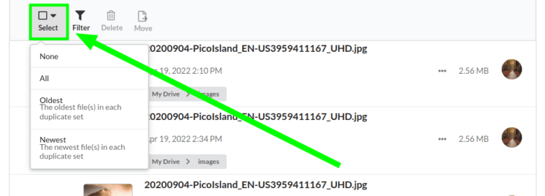 Delete, Move and Bulk Delete Files | Filerev