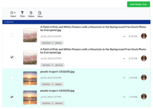 Filerev: The Best App to Clean Up Google Drive