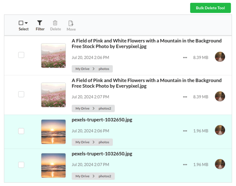 Shared File Viewer: Manage Shared Files in Google Drive